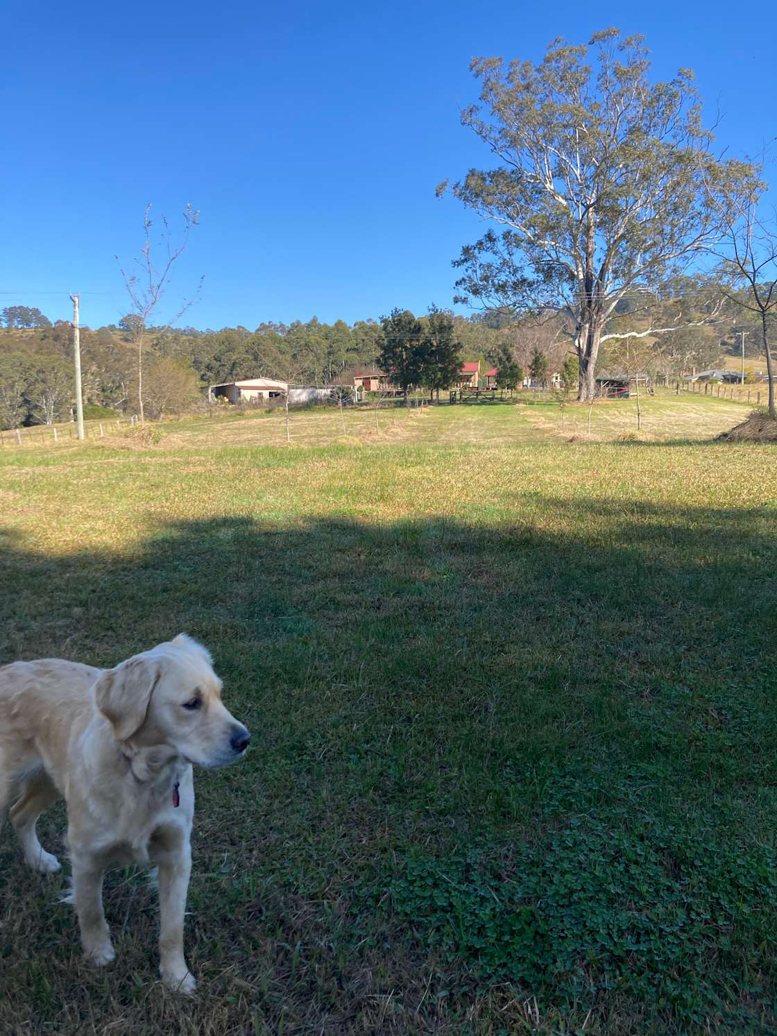 River Camping Under the Elms - Hipcamp in Dungog, New South Wales