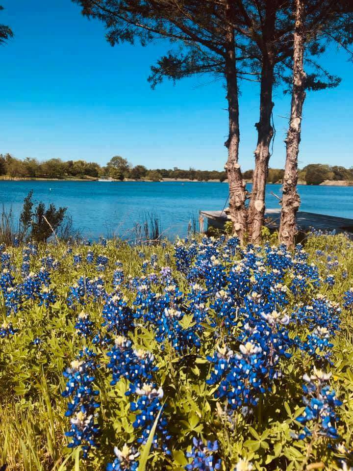 The Scuba Ranch - Hipcamp in Terrell, Texas