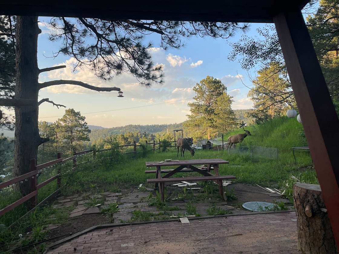 Red Rocks Camp on Lookout Mountain - Hipcamp in Golden, Colorado