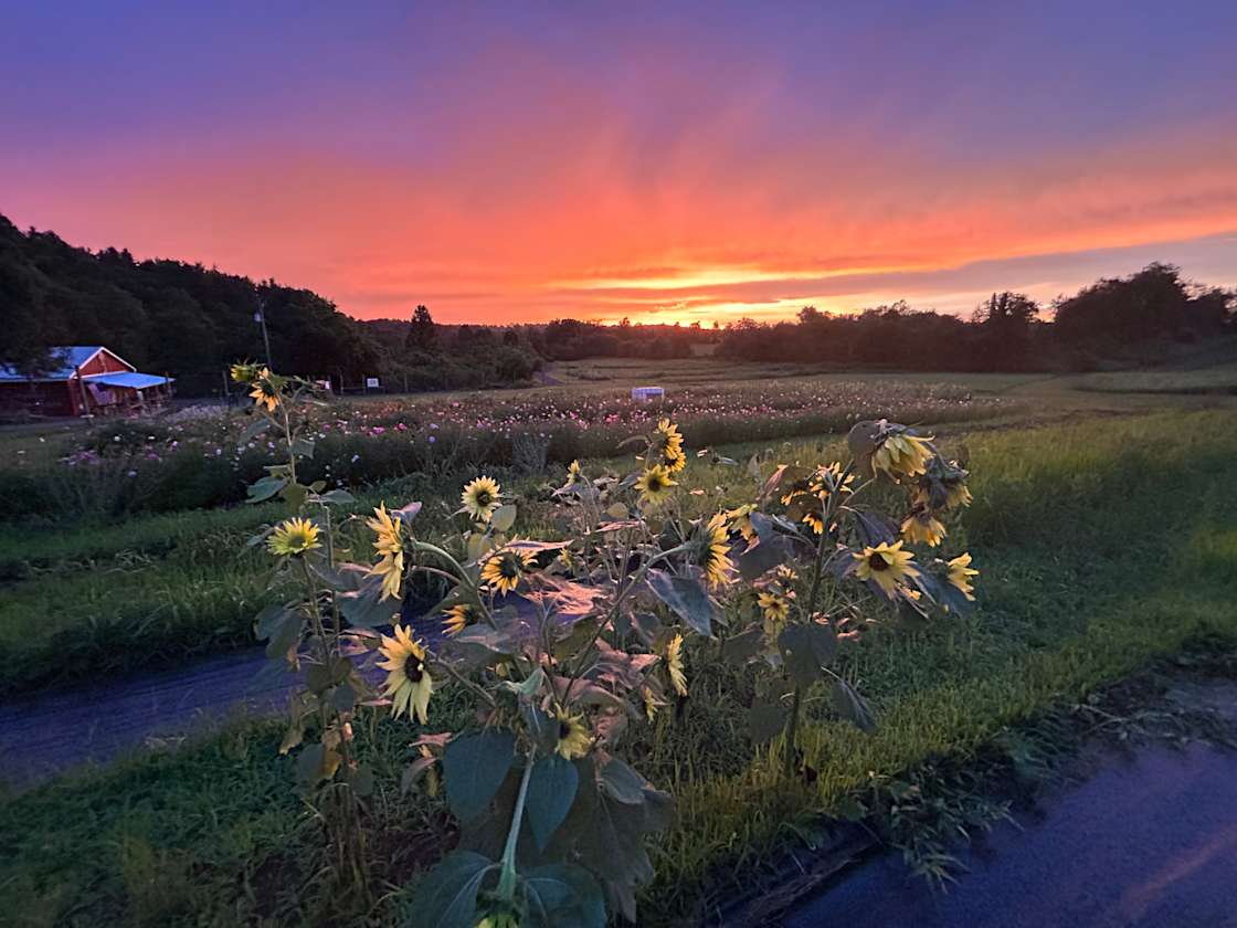 Crooked Mountain - Hipcamp in , Virginia