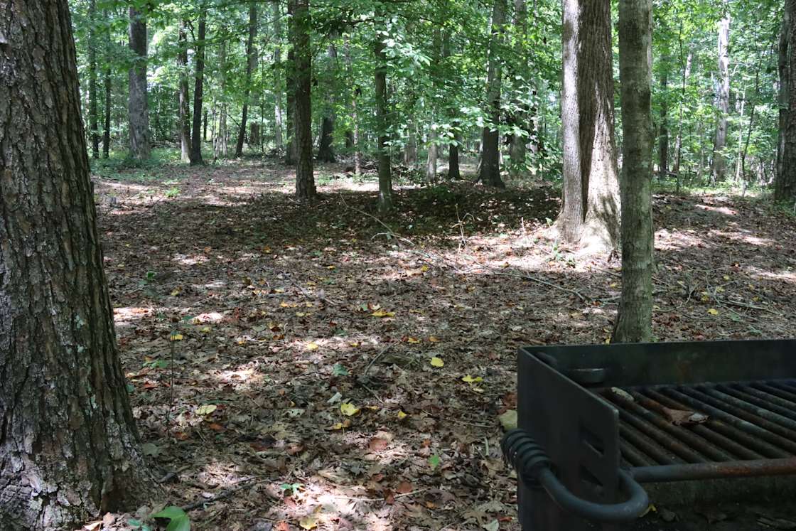 Lula Disc House - Hipcamp in Lula, Georgia