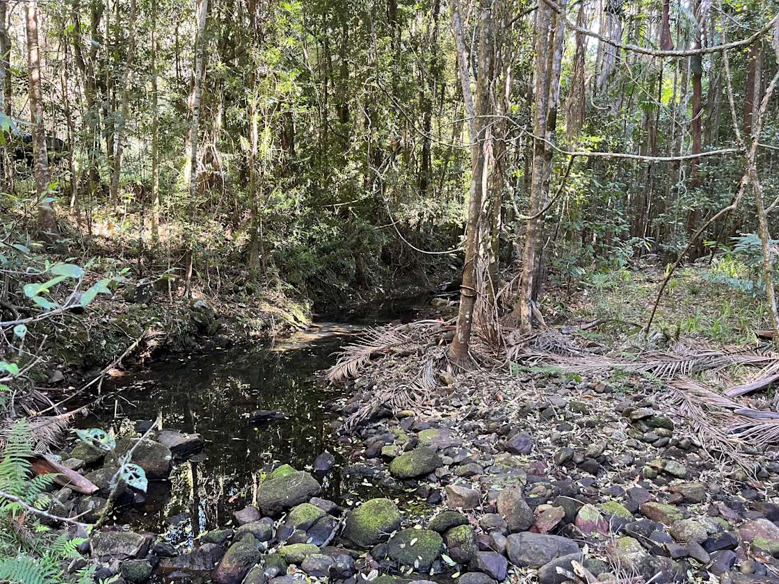 Woombye Rainforest Escape - Hipcamp in West Woombye, Queensland