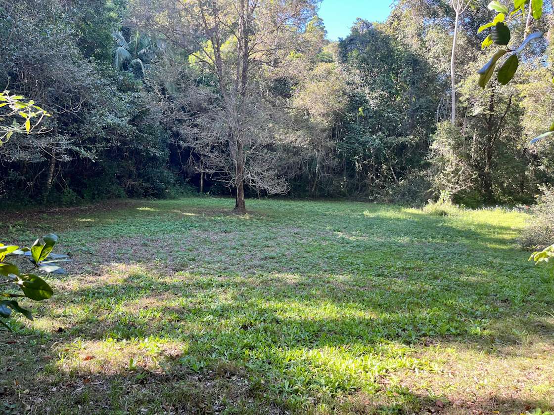 Woombye Rainforest Escape - Hipcamp in West Woombye, Queensland