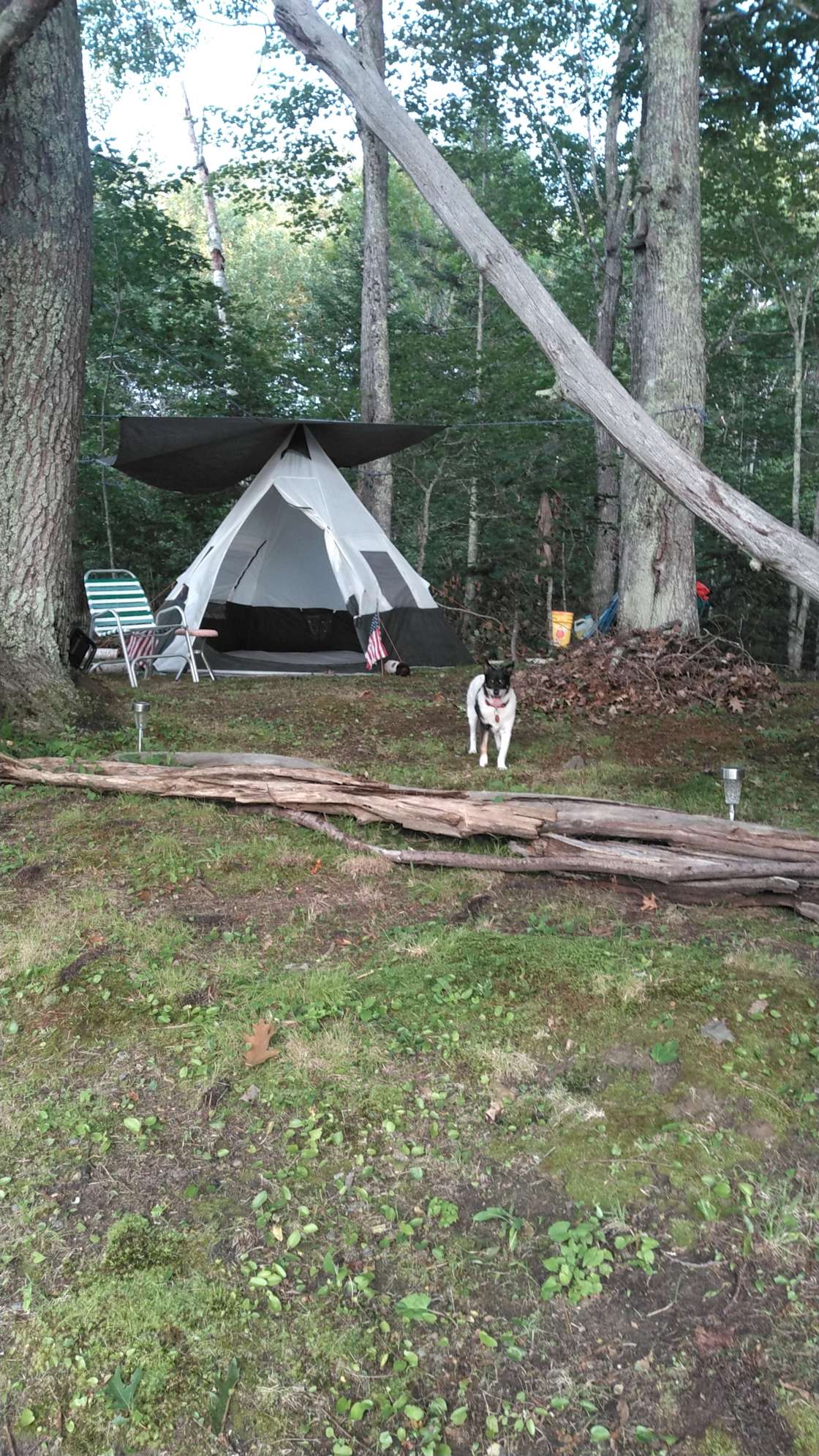 Reclaimed Gravel Pit - Hipcamp in Winterport, Maine