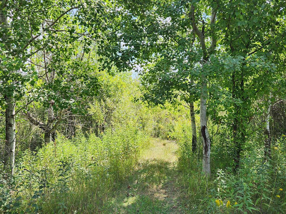 Oak Park Nature Nook - Hipcamp in Oak Park, Minnesota