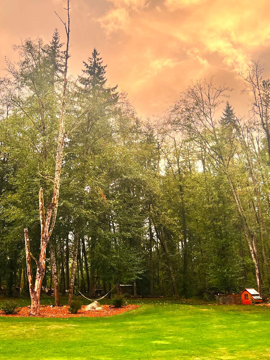 The Woodlands PNW - Hipcamp in Lake Goodwin, Washington