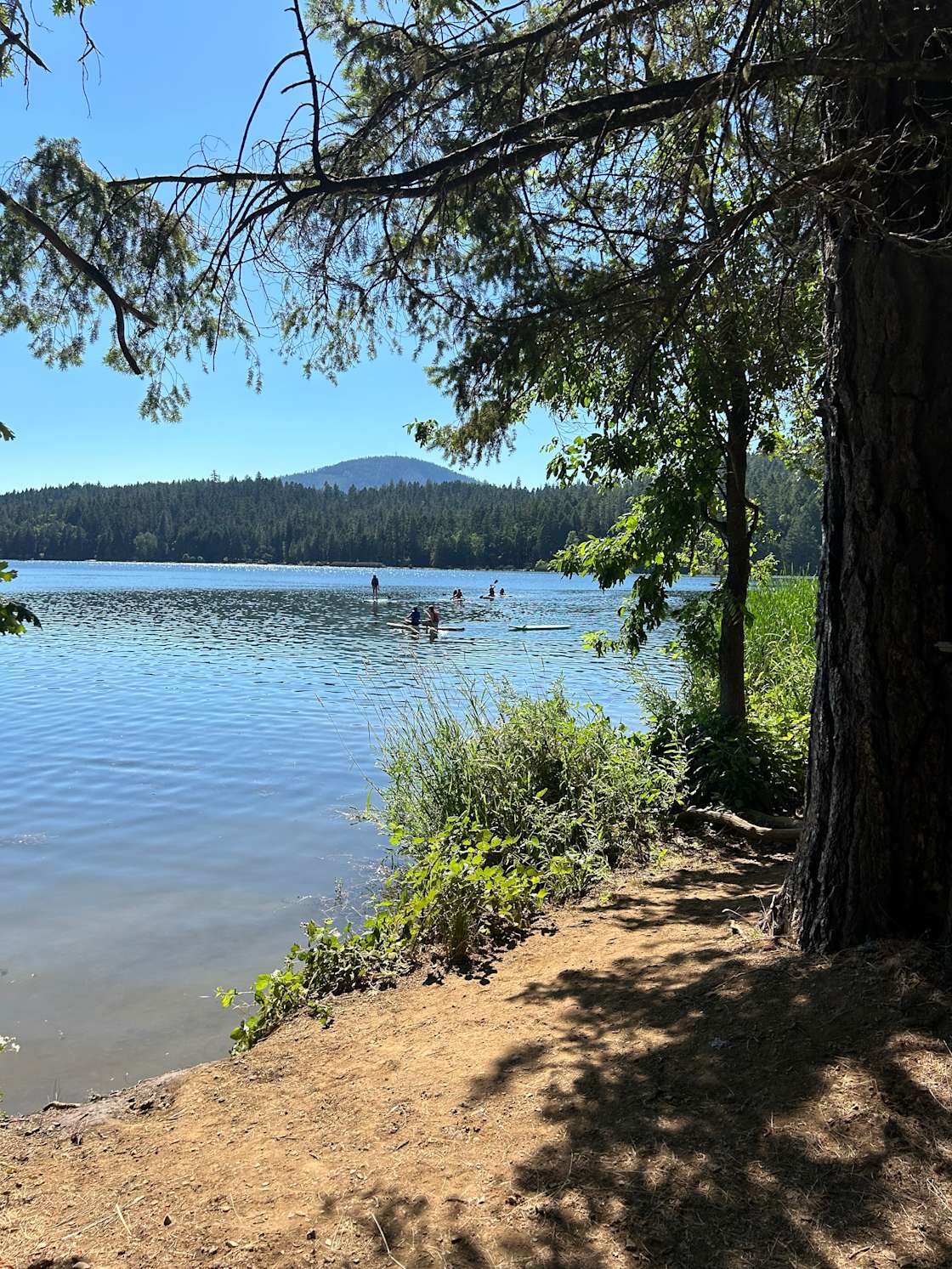 Faith Ranch Farms - Hipcamp in Selma, Oregon