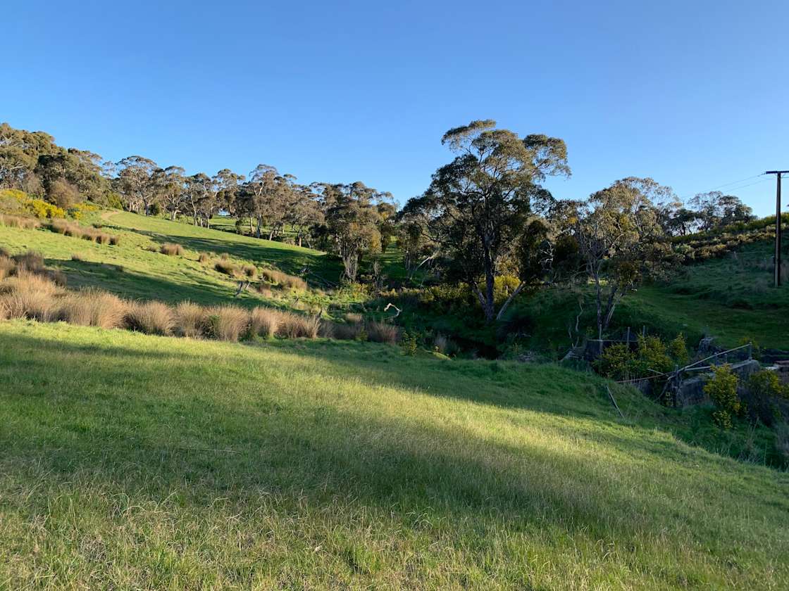Rocky Dale Farm - Hipcamp in Hindmarsh Valley, South Australia