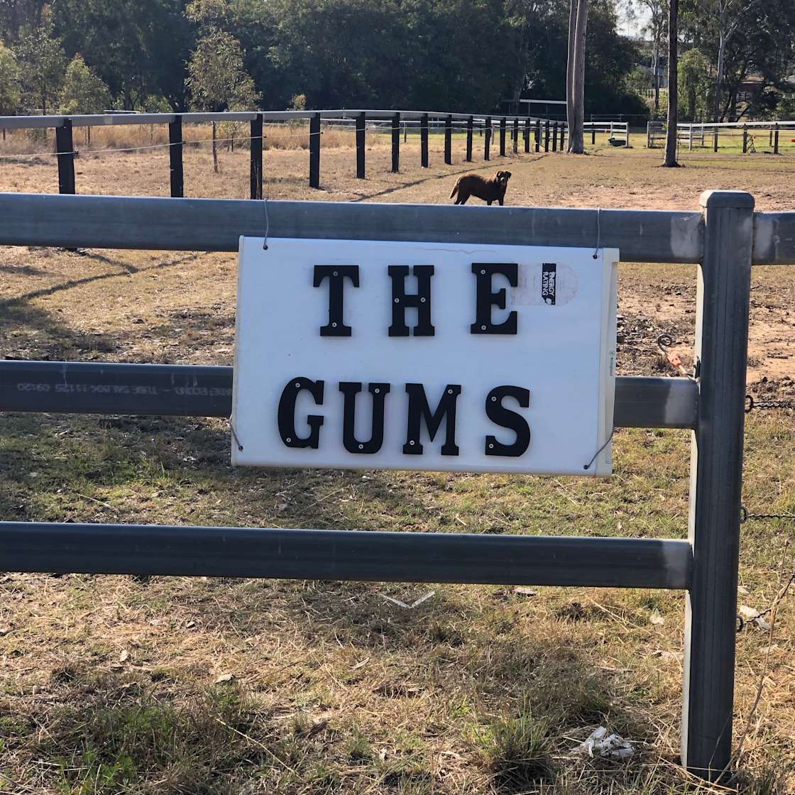 The Gums Aratula camp - Hipcamp in Kalbar, Queensland