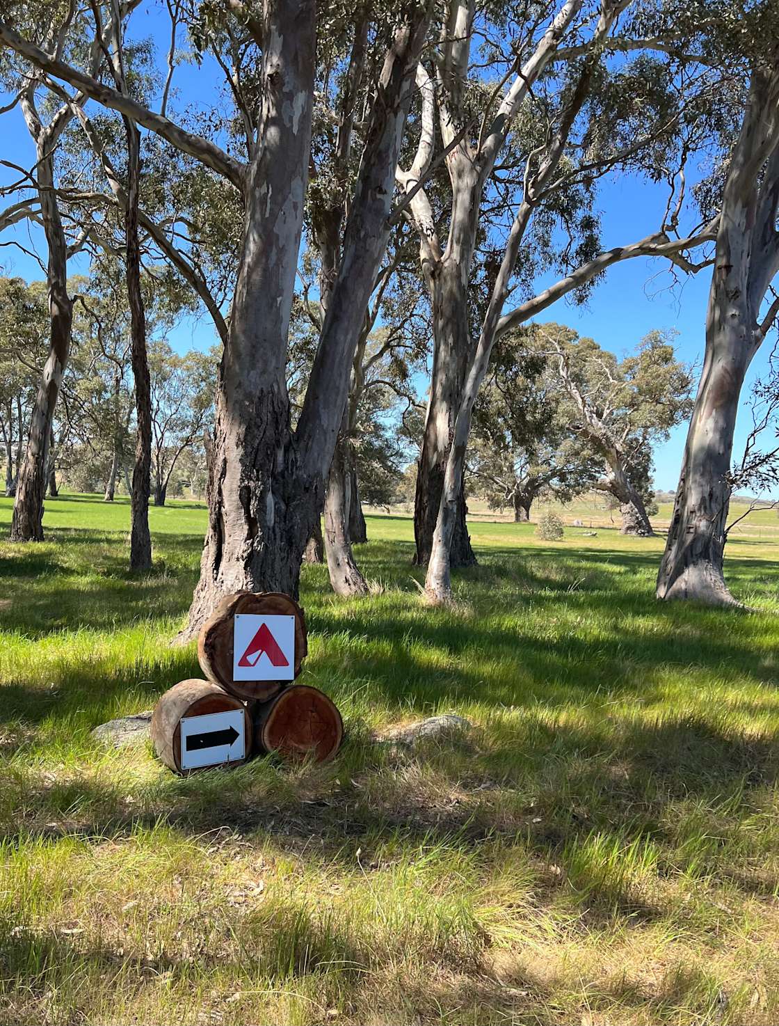 Strathspey Farm - Hipcamp in Springton, South Australia