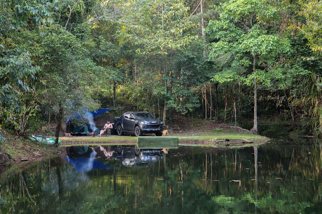 Tully Mountain Views - Hipcamp in Djarawong, Queensland