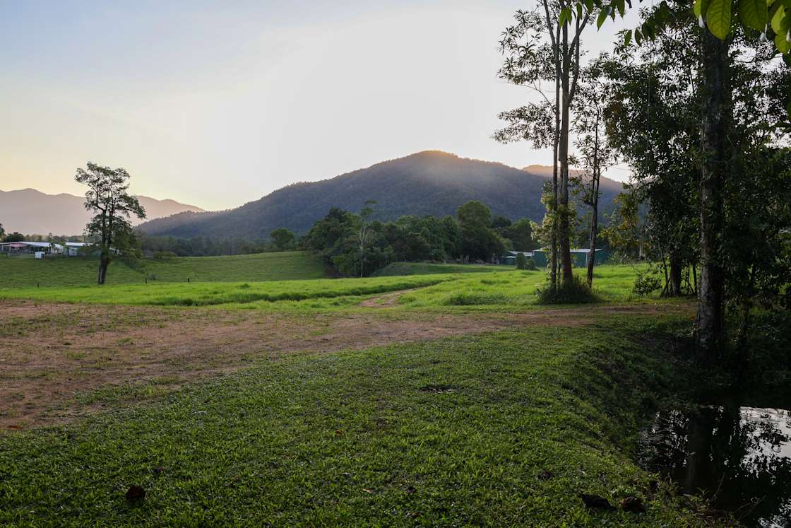 Tully Mountain Views - Hipcamp in Djarawong, Queensland
