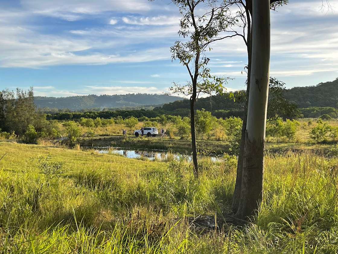 Nuchi Hollow - Hipcamp in Yandina Creek, Queensland