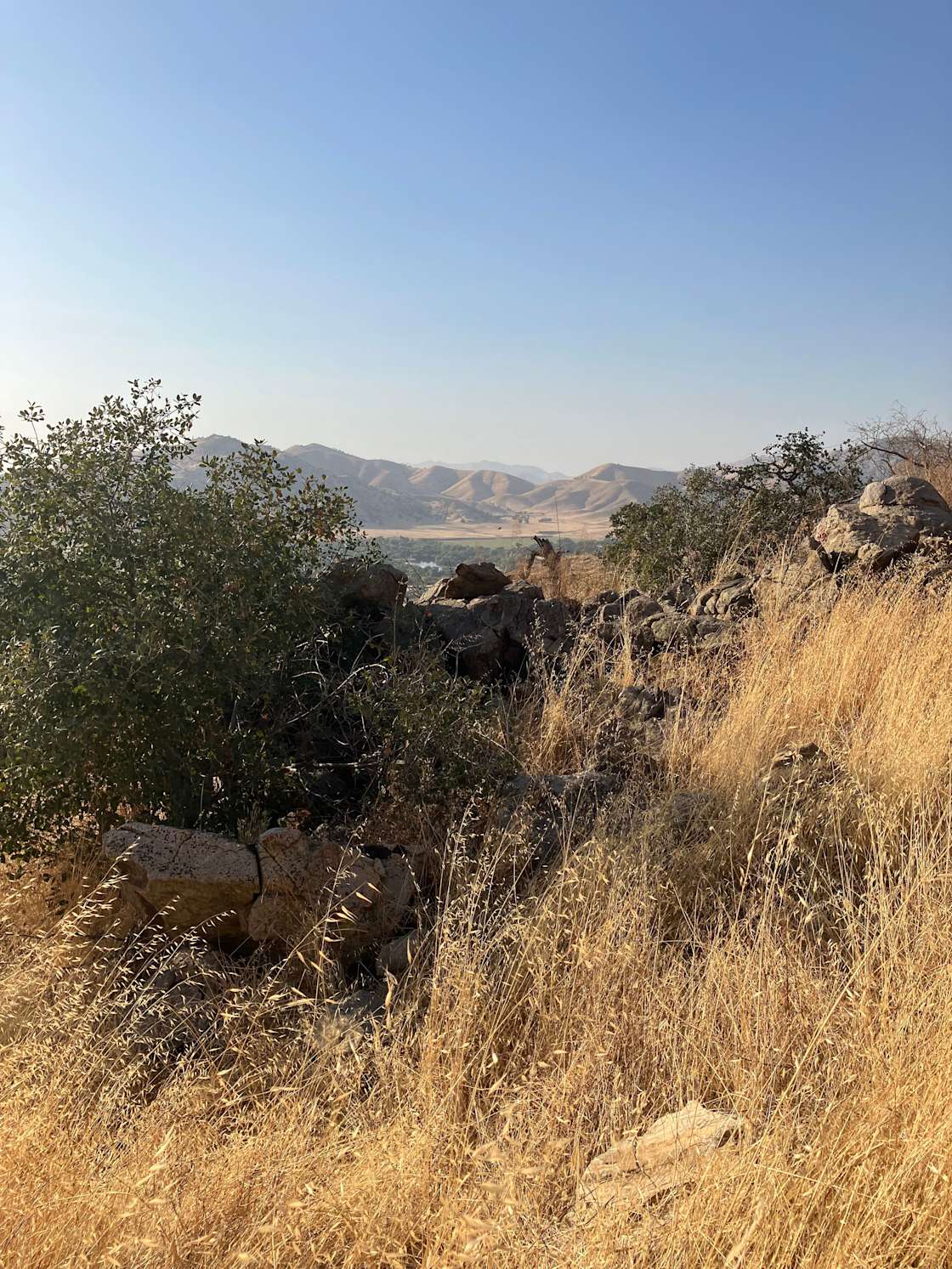 Rock Rivera Ranch - Hipcamp in Lemon Cove, California