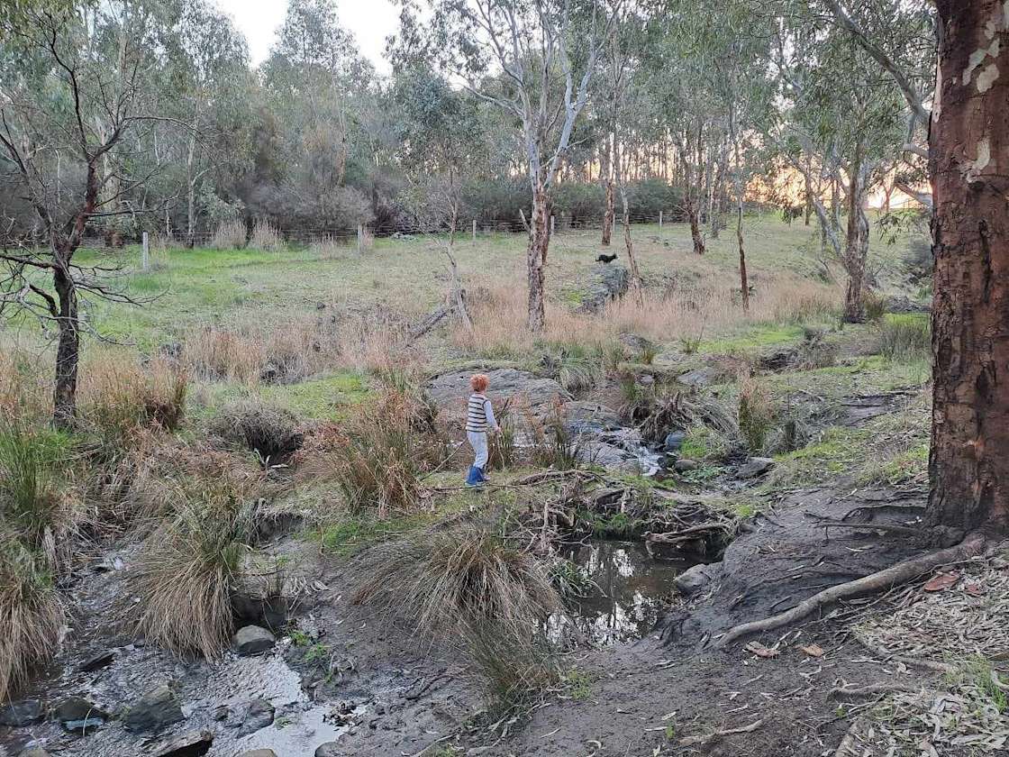 Waitpinga Ridge | Creek Camp Site - Hipcamp in Waitpinga, South Australia