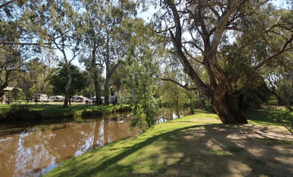 Euroa Caravan & Cabin Park - Hipcamp in Euroa, Victoria