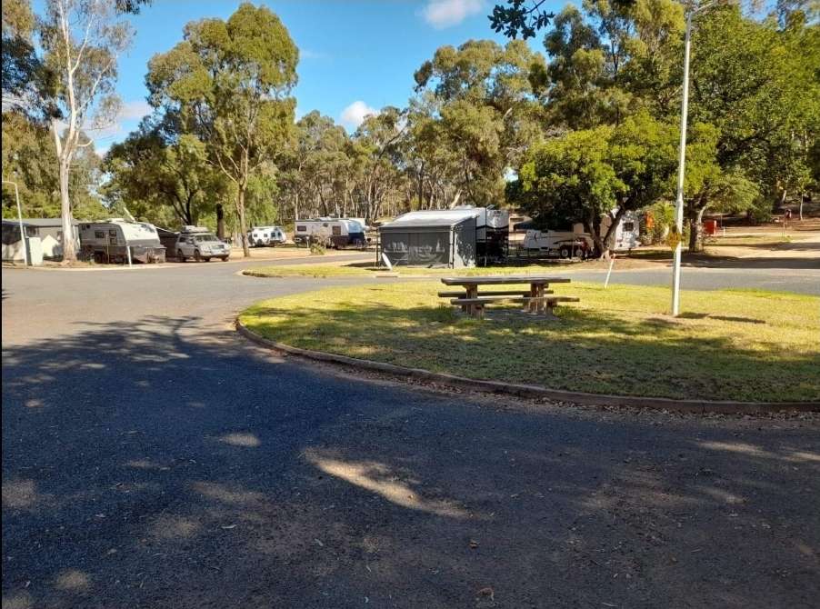 Wedderburn Caravan Park - Hipcamp in Wedderburn, Victoria