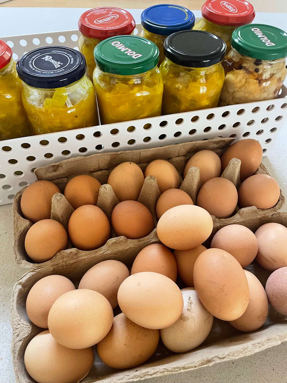 Fozo Farm - Hipcamp in Neergabby, Western Australia