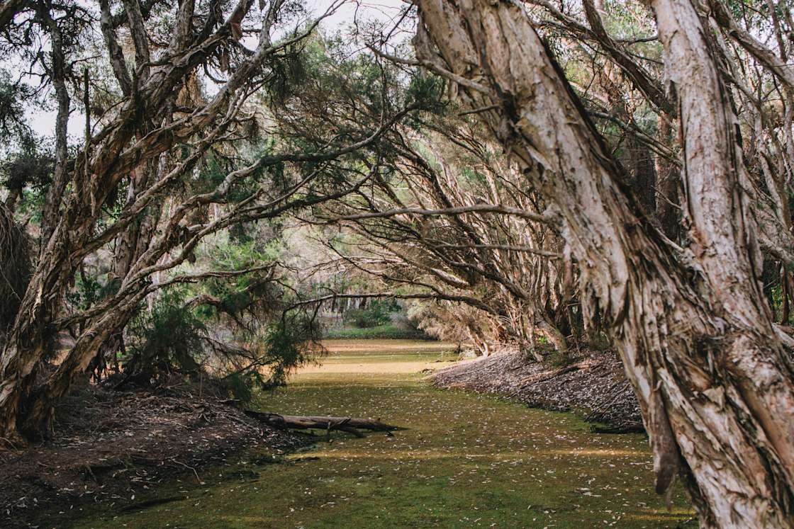 Herron Point Farm Stay - Hipcamp in West Coolup, Western Australia