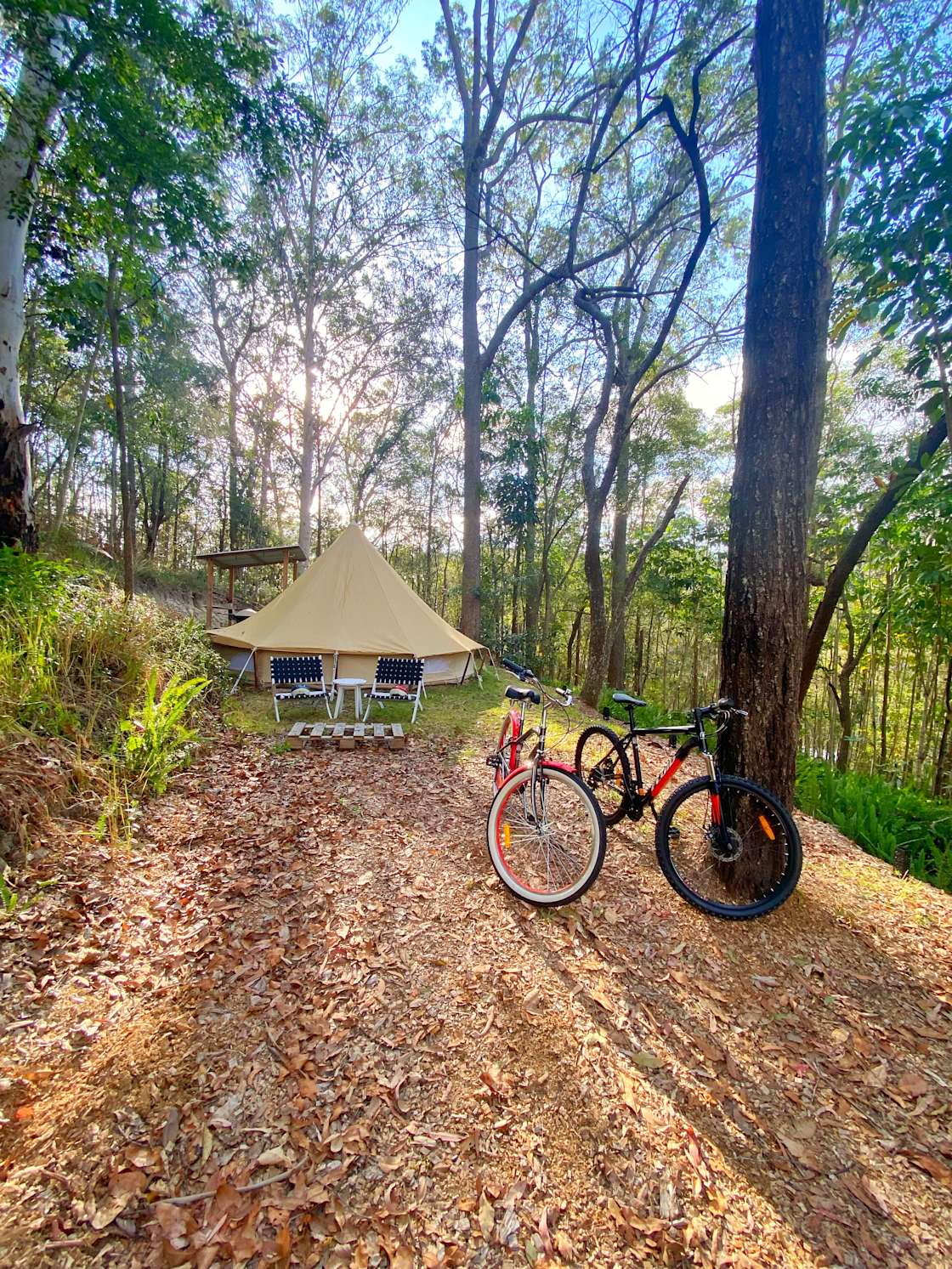 Wappa Wunya Off-Grid Glamping - Hipcamp in Yandina, Queensland