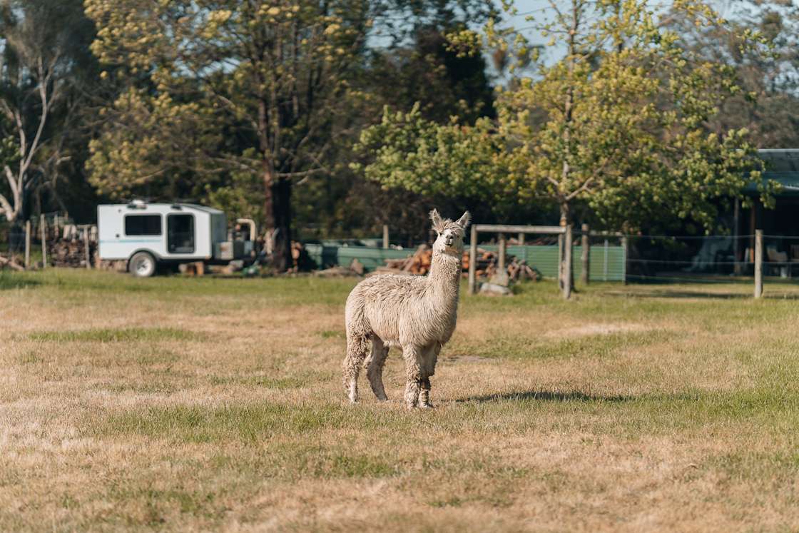 Nowa Nowa Lakeside Farmlet. - Hipcamp in Nowa Nowa, Victoria