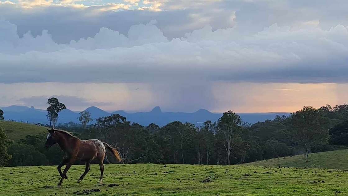Rangetop Farm - Hipcamp in Ocean View, Queensland