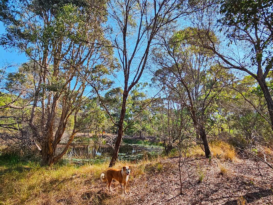 The Friendly Farm - Hipcamp in Takura, Queensland