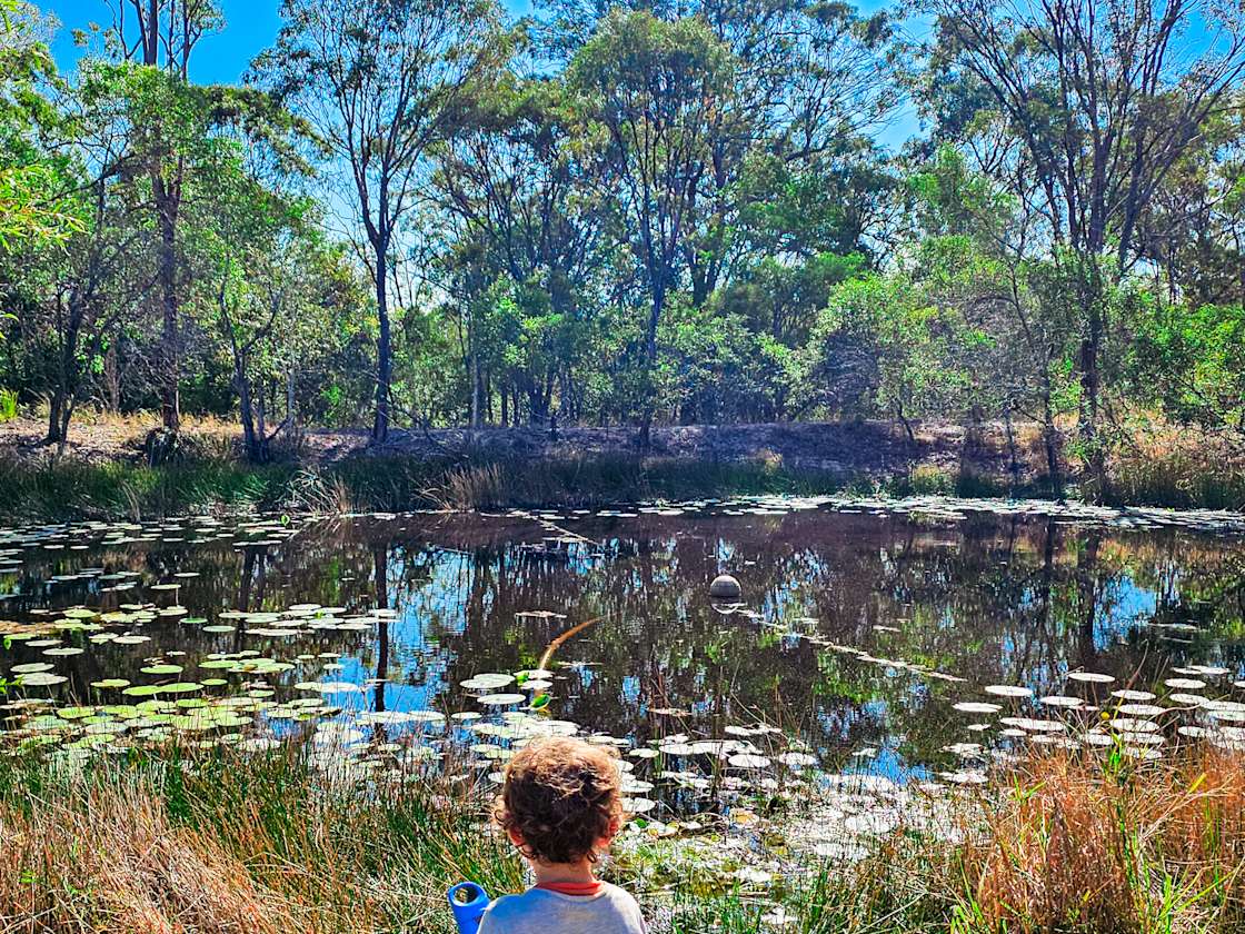 The Friendly Farm - Hipcamp in Takura, Queensland
