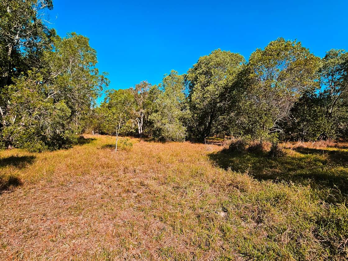 The Friendly Farm - Hipcamp in Takura, Queensland