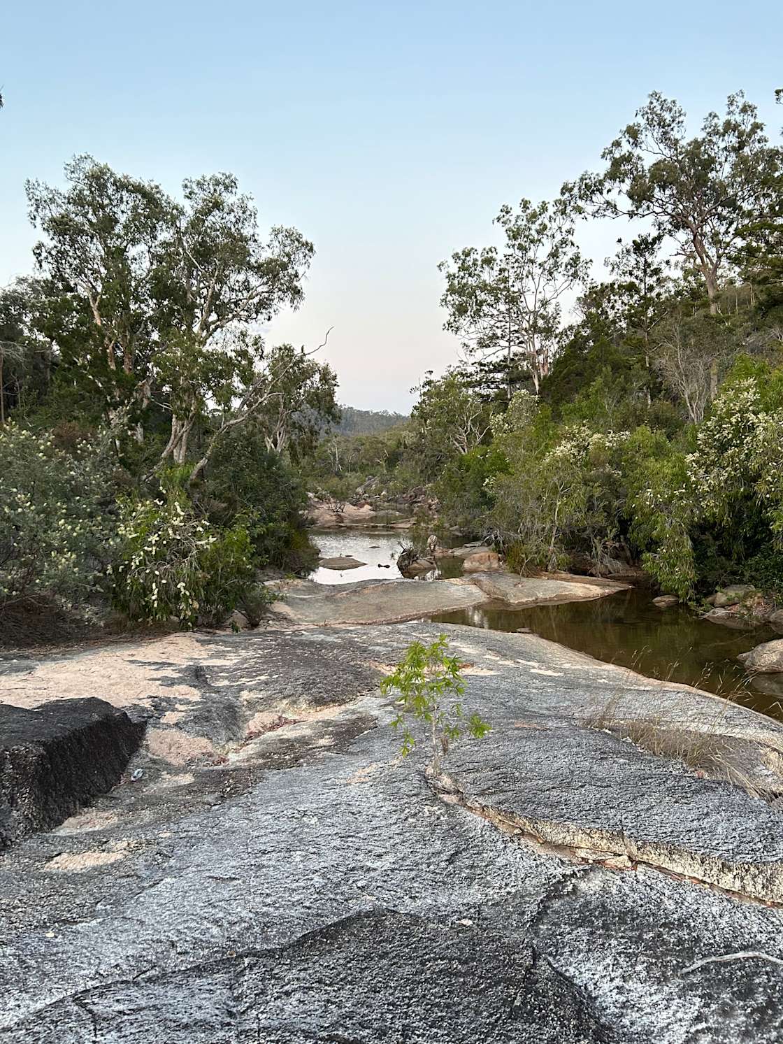 Hidden Valley Cabins - Hipcamp in Paluma, Queensland