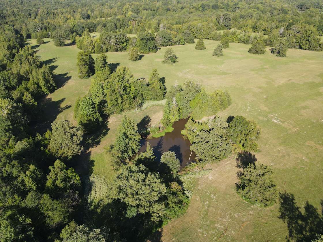 Two Bits Ranch - Hipcamp in Lone Star, Texas