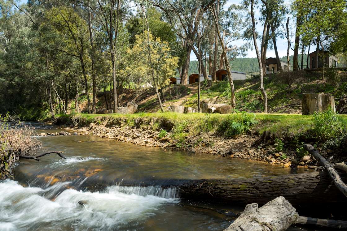 Camp Crusty Bright - Hipcamp in Bright, Victoria