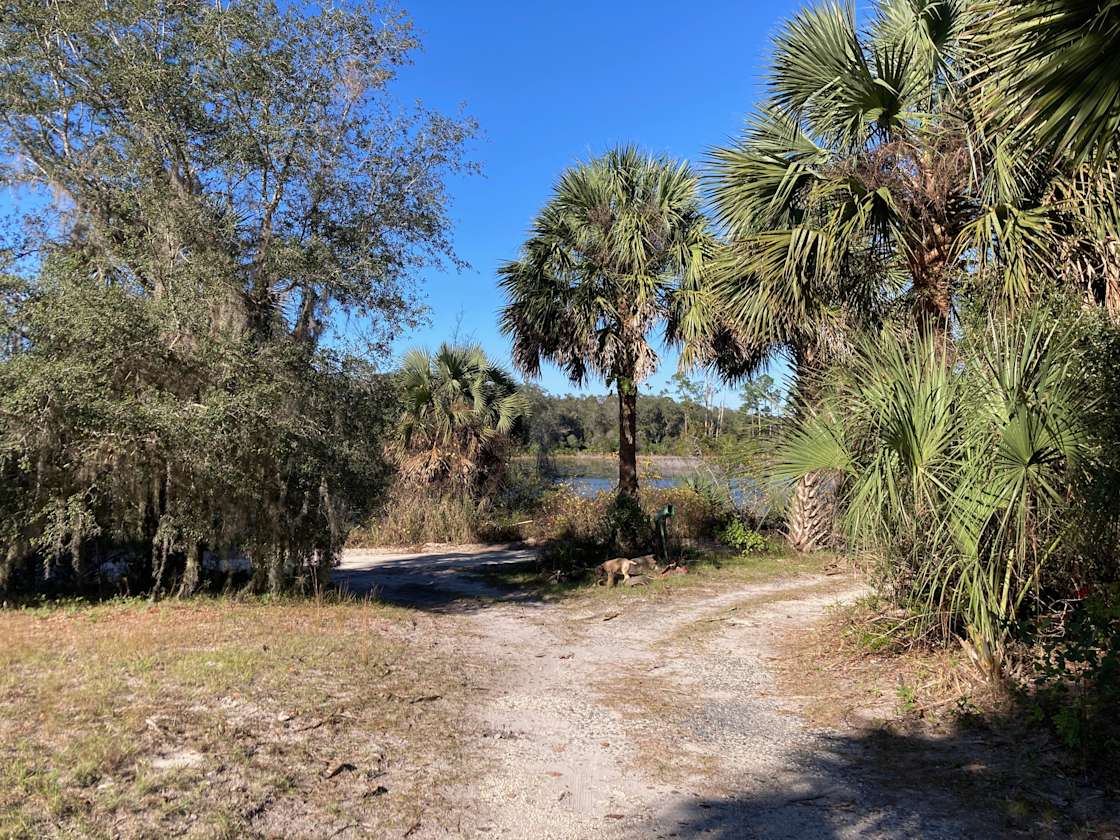 Robbins Lodge - Hipcamp in Pomona Park, Florida