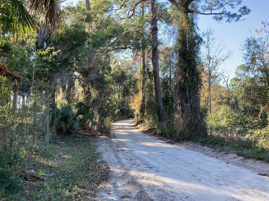 Robbins Lodge - Hipcamp in Pomona Park, Florida