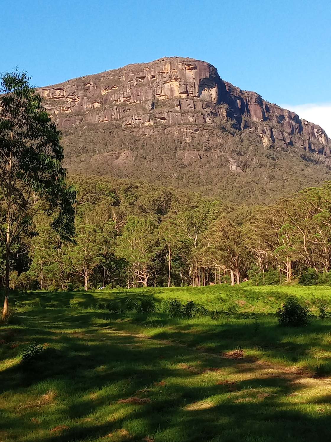 Yadboro Flat - Hipcamp in Milton, New South Wales