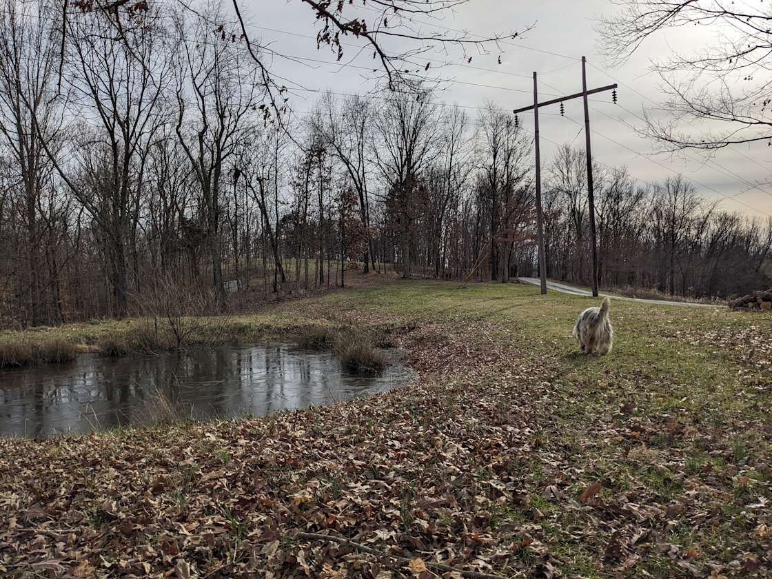 Turtleback Ridge - Hipcamp in Sardis, Kentucky