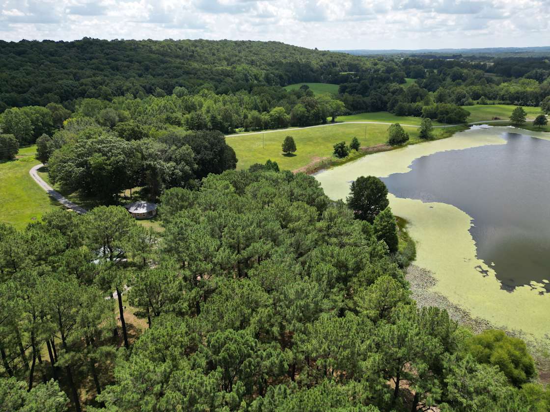 Tall Tree Lake - Hipcamp in Buncombe, Illinois