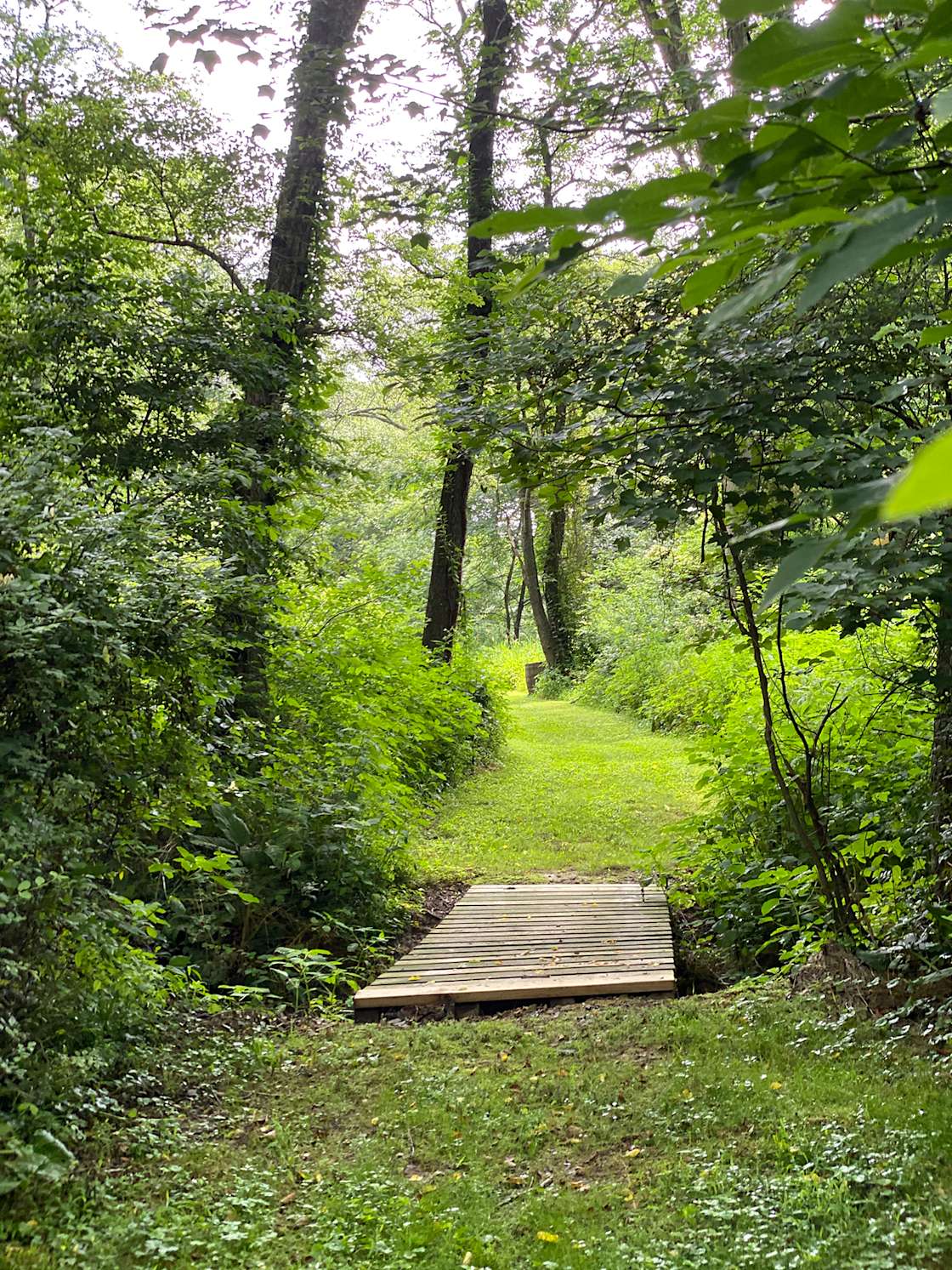 Conowingo Creek Campsite - Hipcamp in Peach Bottom, Pennsylvania