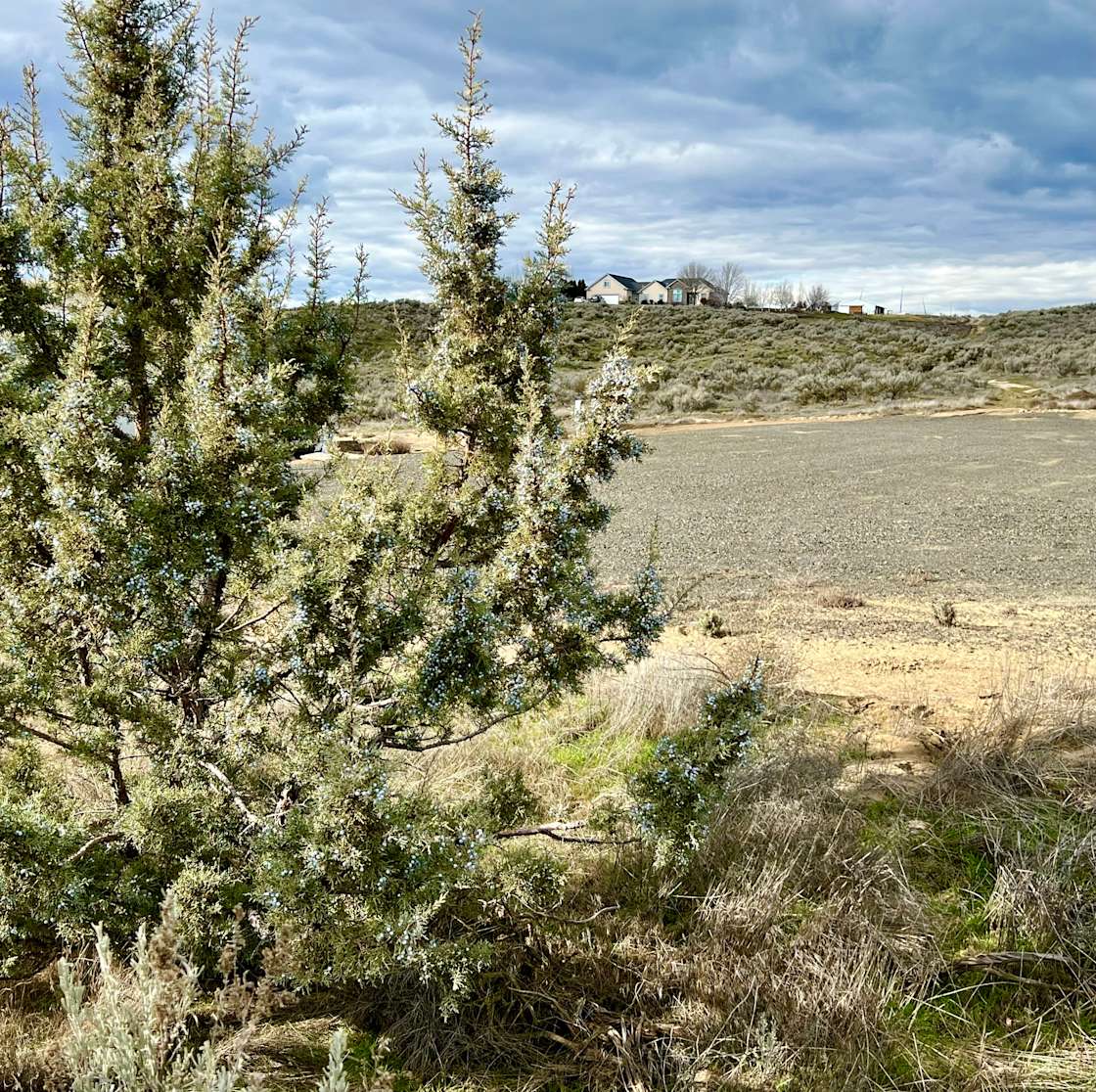 Rhea Siding - Hipcamp in Ione, Oregon