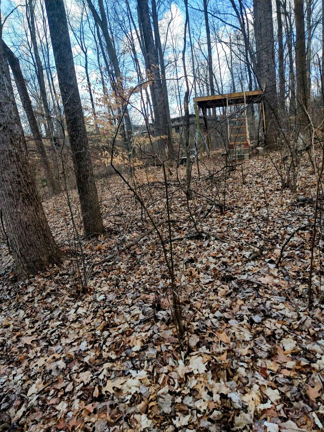 Fairy Forest - Hipcamp in Solsberry, Indiana