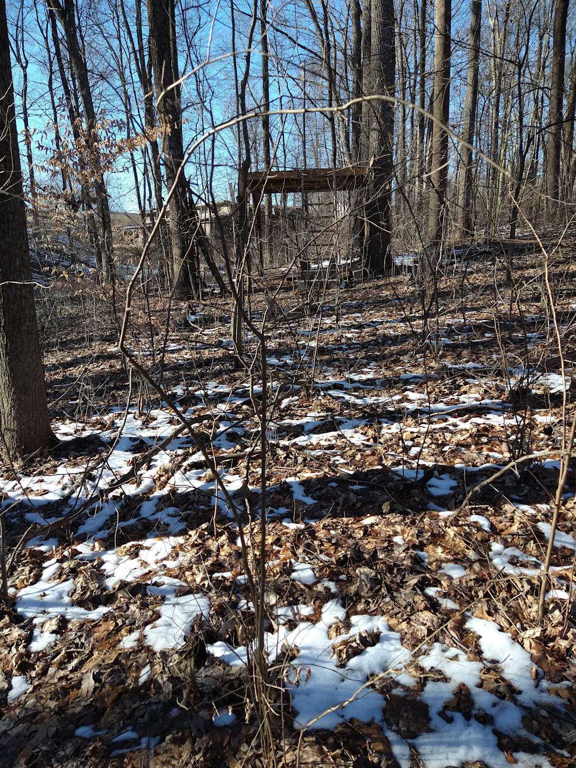 Fairy Forest - Hipcamp in Solsberry, Indiana