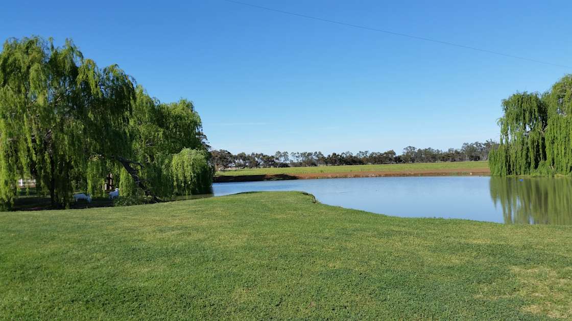 Simply Tomatoes Boort - Hipcamp in Yando, Victoria