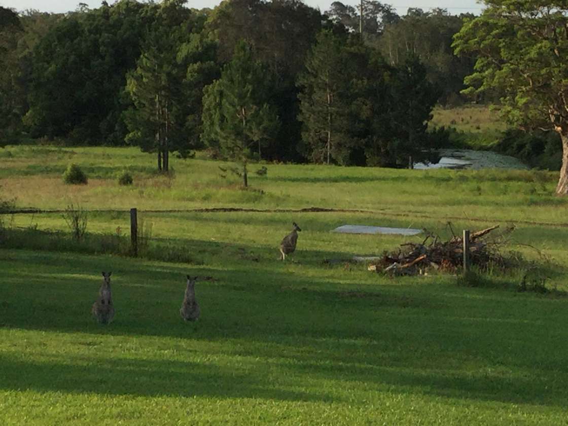 Mid North Coast Tranquil Farm Stay - Hipcamp in Frederickton, New South ...