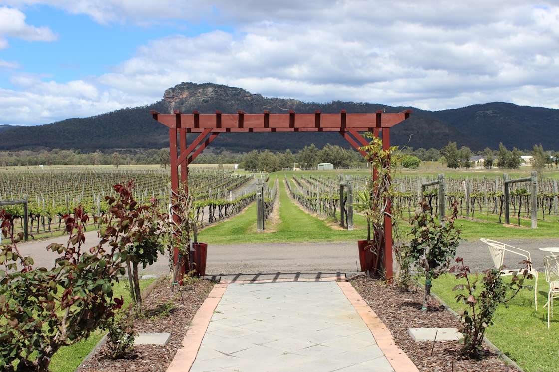 Nightingale Wines - RV & Van Stop - Hipcamp in Broke, New South Wales