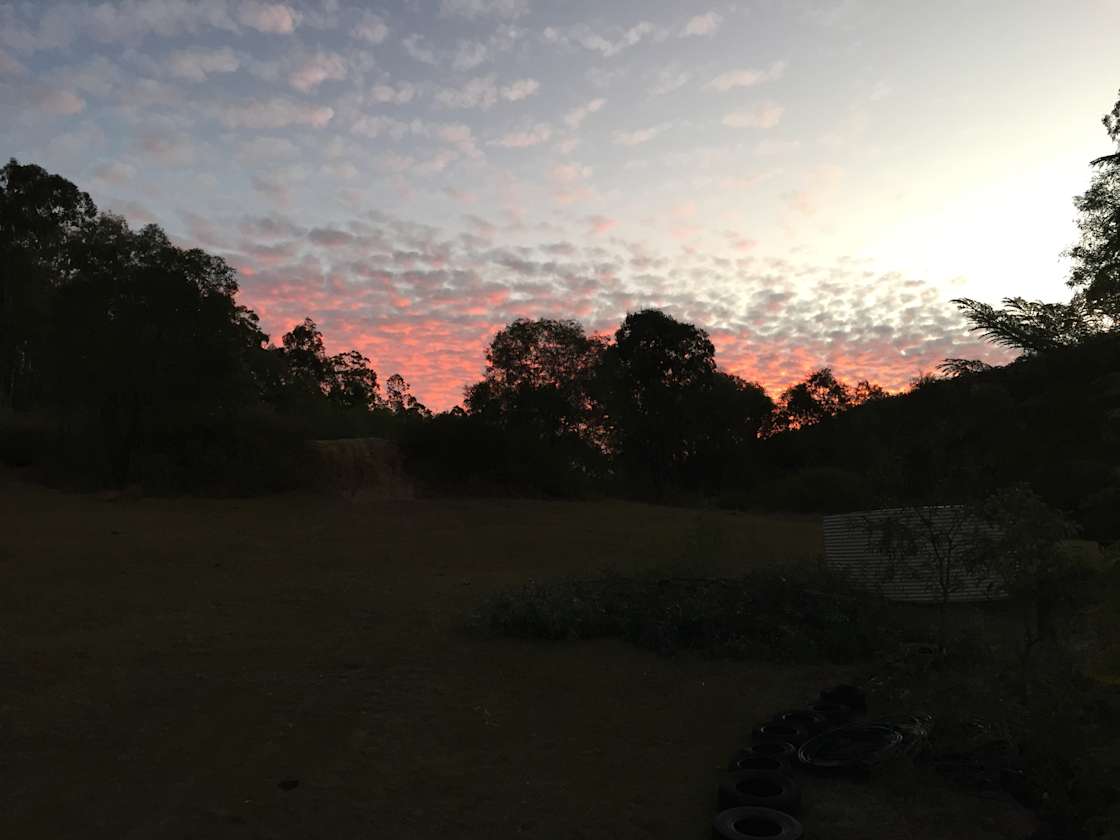 Undullah Campground - Hipcamp in Undullah, Queensland