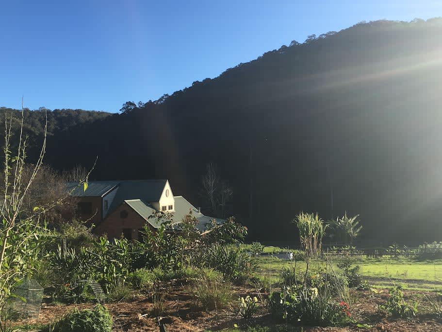 Valley's End Farm - Hipcamp in Jilliby, New South Wales