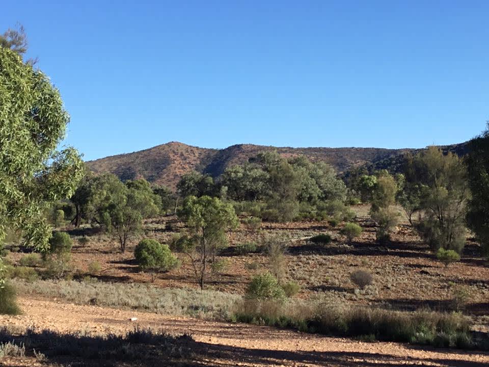 Iga Warta - Hipcamp in Copley, South Australia