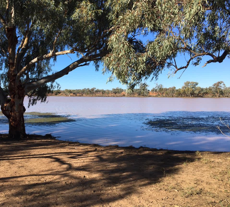 The Lake, Quilpie - Hipcamp in Quilpie, Queensland