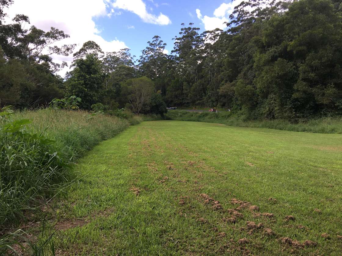 Mt Burrell Camping - Hipcamp in Mount Burrell, New South Wales