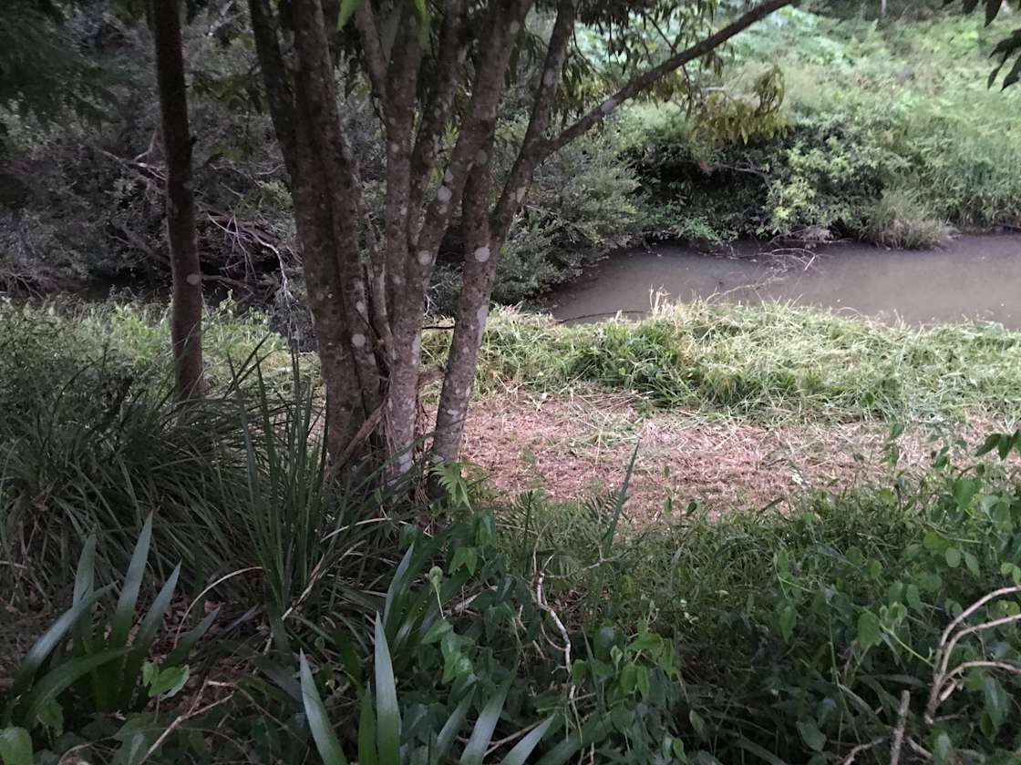 Mt Burrell Camping - Hipcamp in Mount Burrell, New South Wales